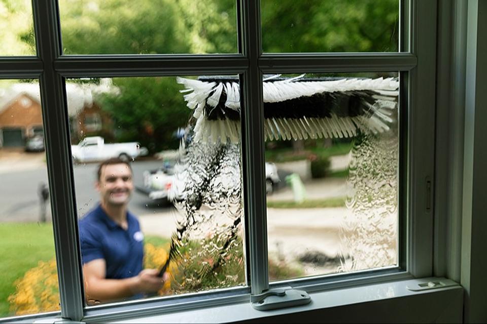 Learn more about the Window Hero Franchise Opportunity